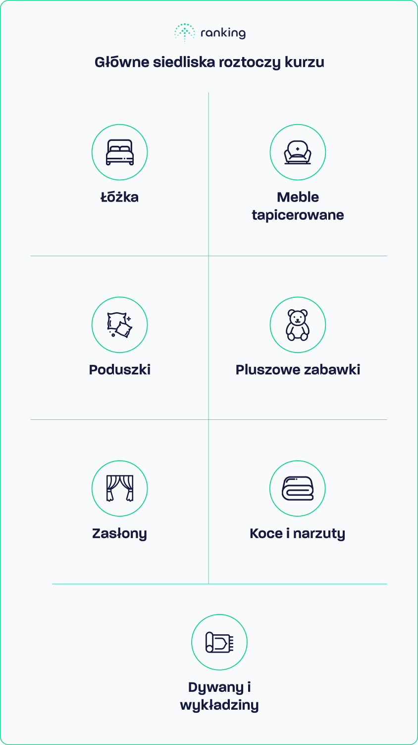 Roztocz kurzu – cichy wróg alergików. Jak z nimi walczyć? - Ranking 127 ...